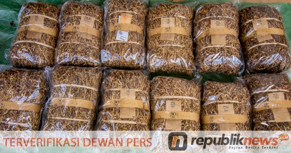 Ini Dia 3 Jenis Tembakau Terbaik Di Indonesia